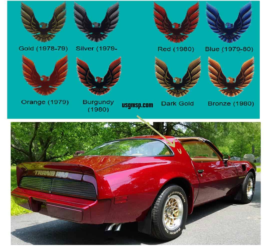78-80 Trans Am B Pillar Decal / Transfer (each) - Choose Colour ...
